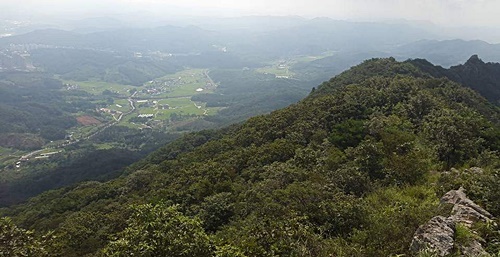 계룡시 향적산 치유의 숲 사업 변질되나